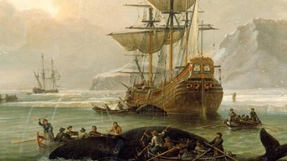 museumnacht in Het Scheepvaartmuseum | Het Scheepvaartmuseum